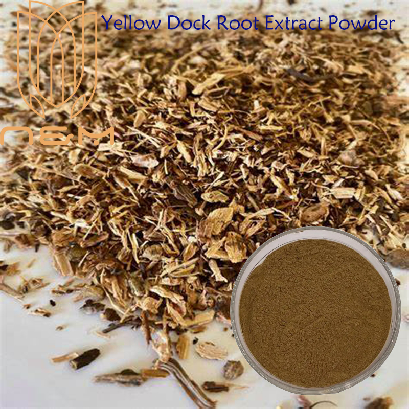 N&M/ Yellow Dock Root Extract Powder/ Traditional Digestive Support ...