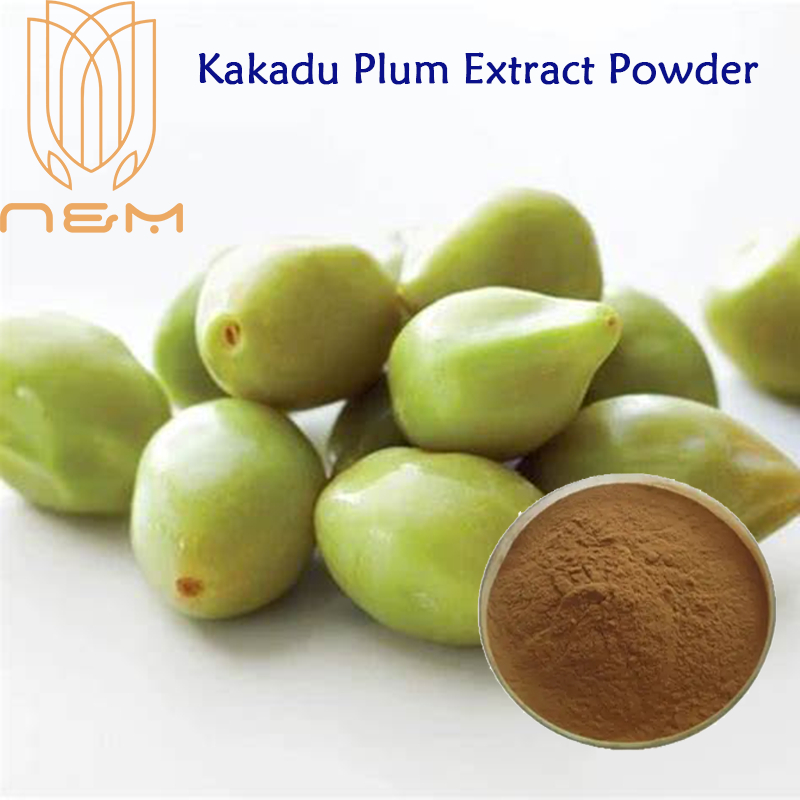 N&M/ Kakadu Plum Extract Powder/ Anti-Aging, anti-wrinkles/ Brighten ...