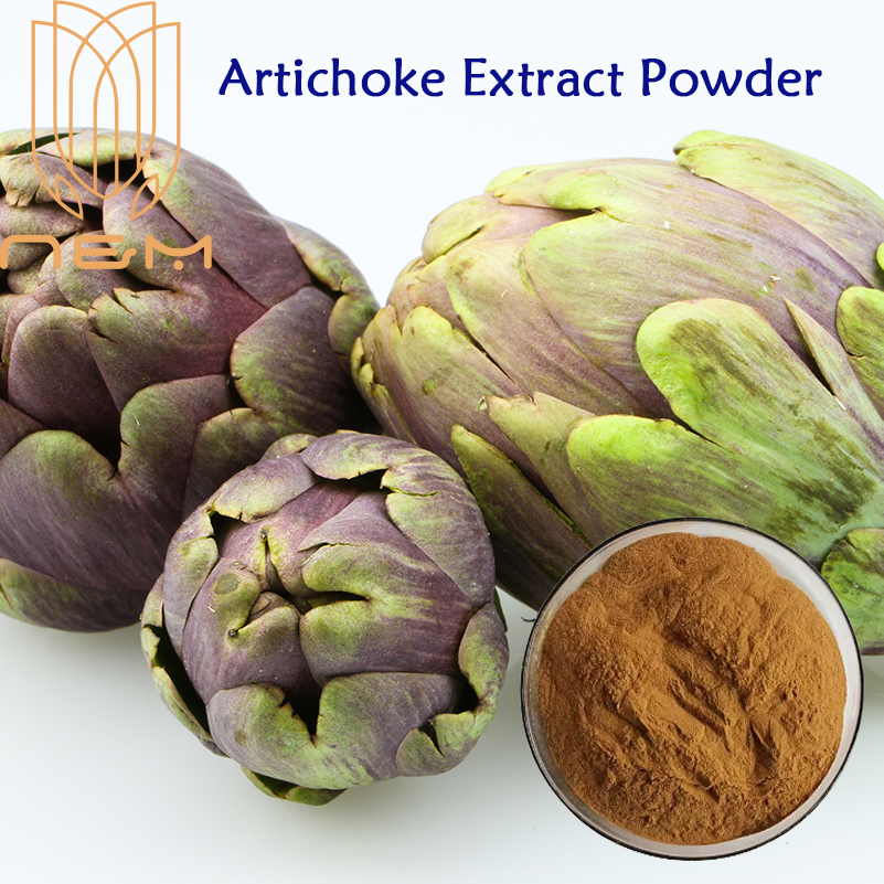 N&M/ Artichoke Extract Powder/ Support digestive health/ Protect the ...