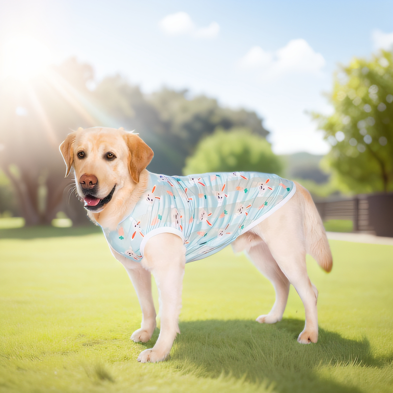 Dog Clothes Pet Clothes for Labrador Summer Thin Style Abrasionproof ...