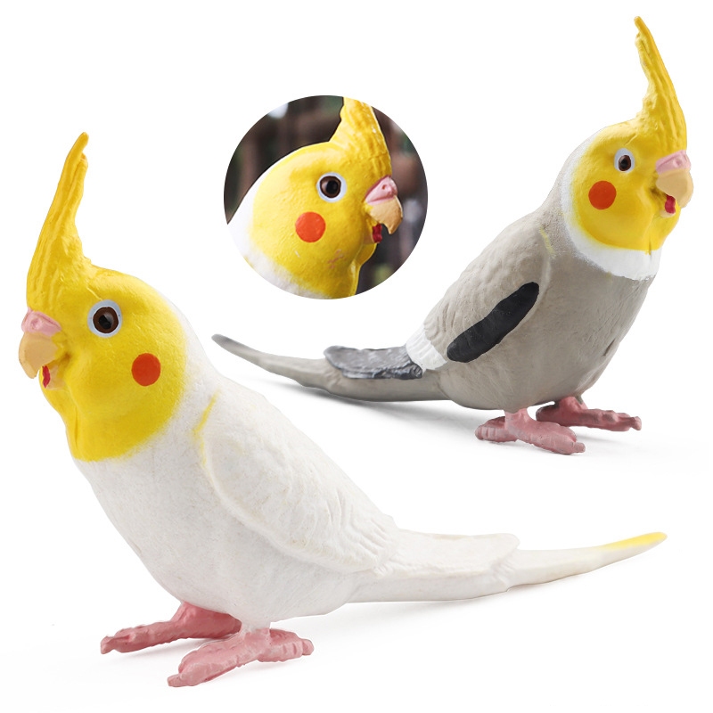 Simulated wild animal model Xuan Feng Parrot Bird Solid Children ...
