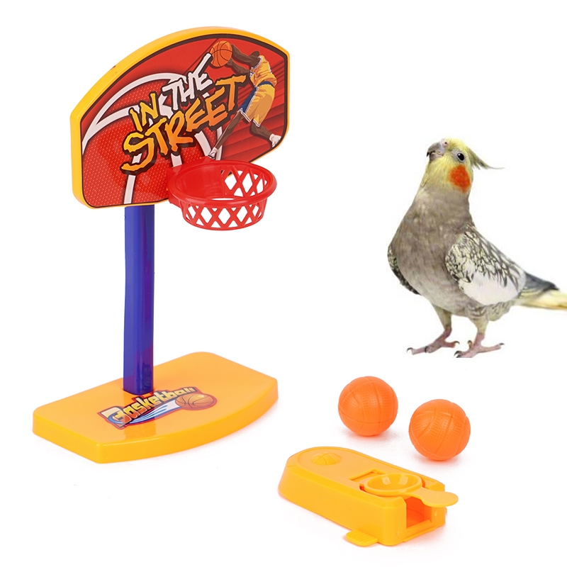 Bird Parrot Training Toy Pet Parakeet Basketball Hoop Props With Chew ...