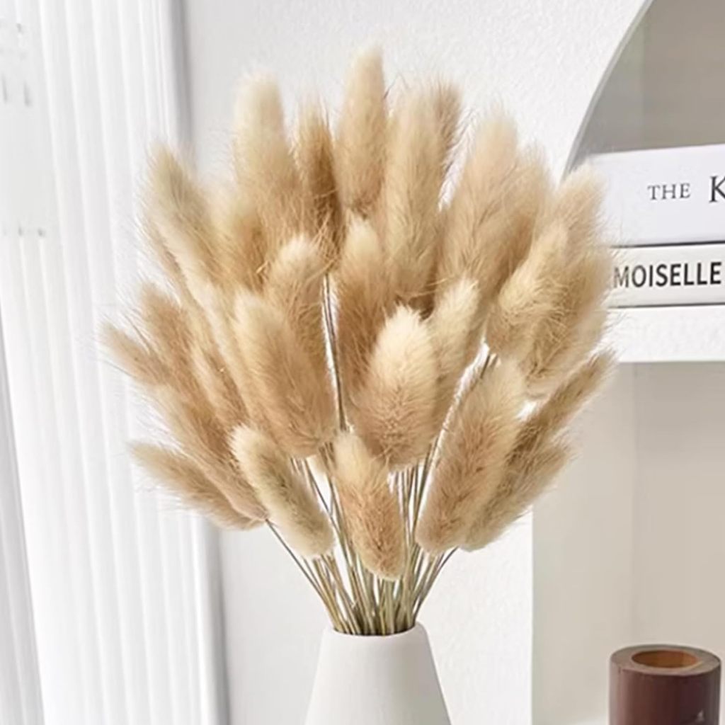 60PCS Rabbit Tail Grass Dried Flowers Dried Natural Floral Arrangement ...