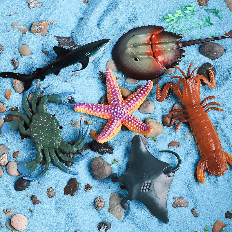 Children cognitive simulation medium ocean model set crab shark octopus ...