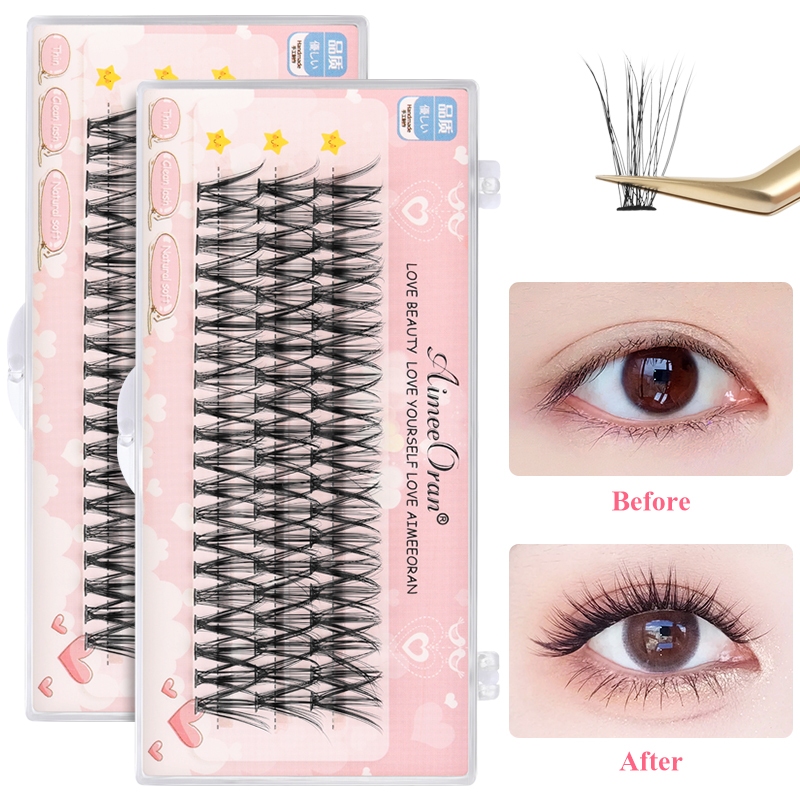 AIMEEORAN 60 Clusters Lashes D Curl Volume Individual Lashes Extensions ...