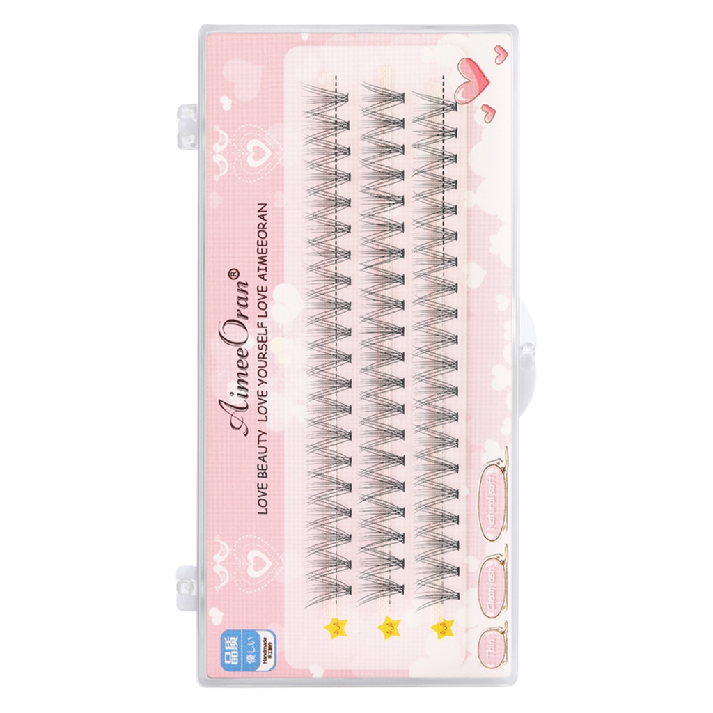 AIMEEORAN 60 Clusters Lashes D Curl Volume Individual Lashes Extensions ...