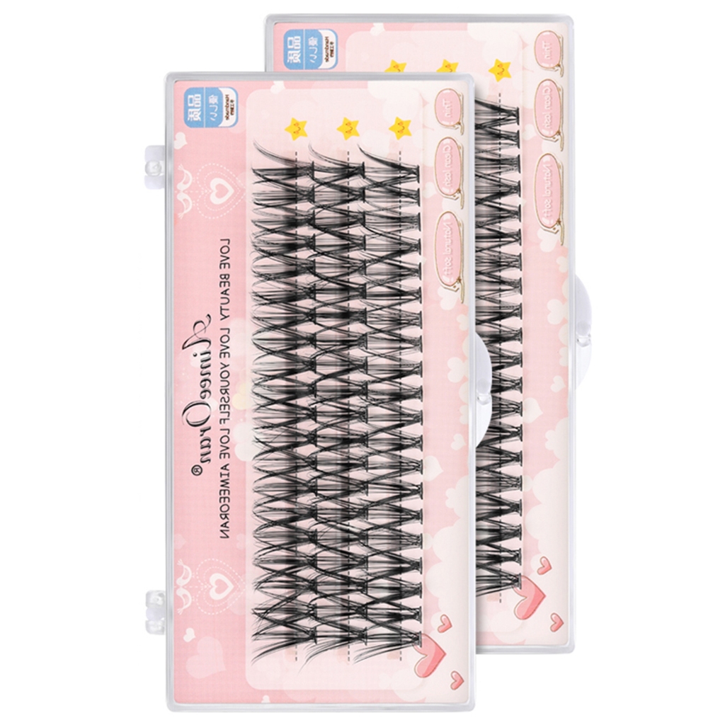 AIMEEORAN 60 Clusters Lashes D Curl Volume Individual Lashes Extensions ...