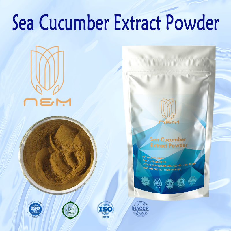 N&M/ Sea Cucumber Extract Powder/ Enhance Immunity/ Anti-fatigue/ Daily ...
