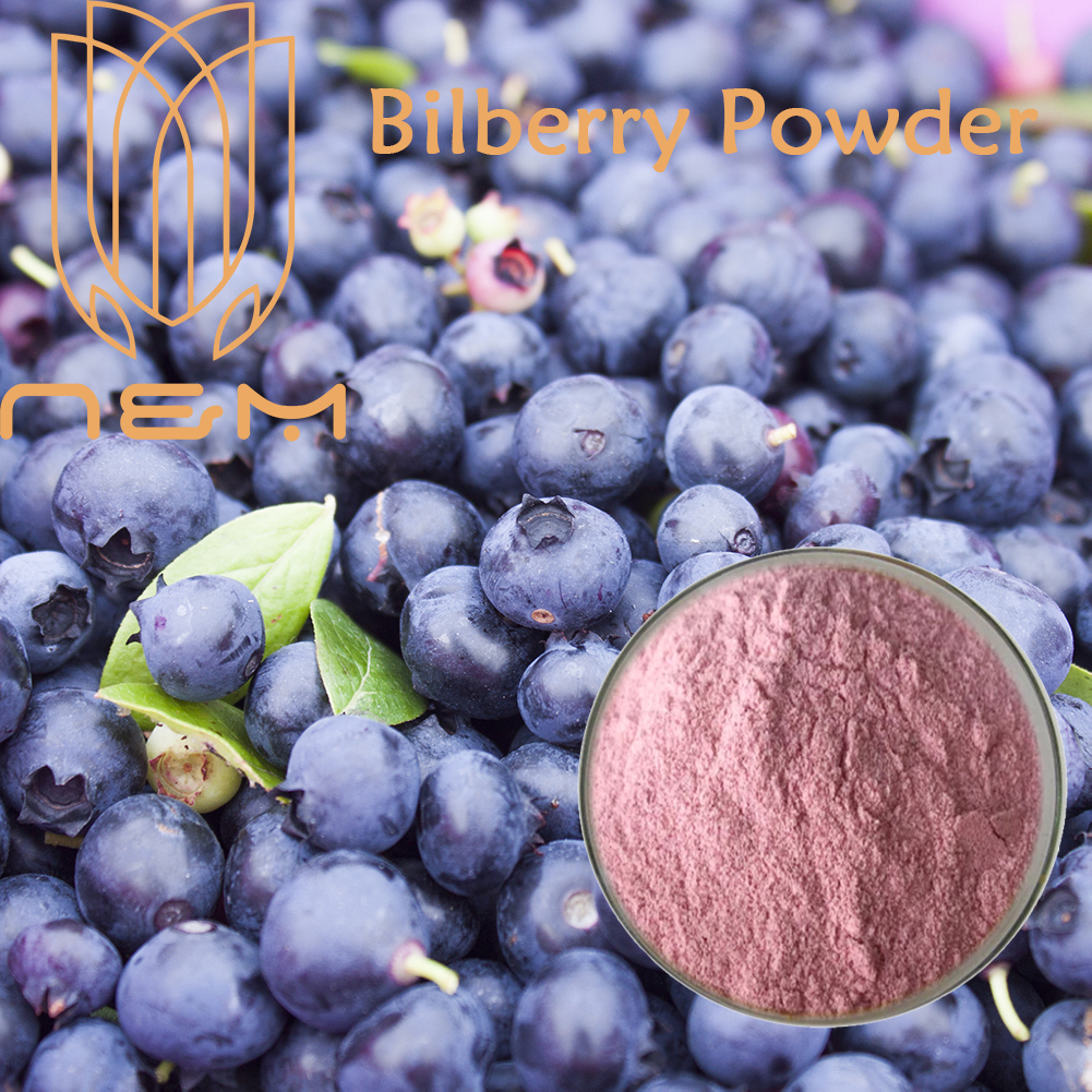 N&M/ Bilberry Powder/ Rich in Anthocyanin/ Support Healthy Eye & Vision ...