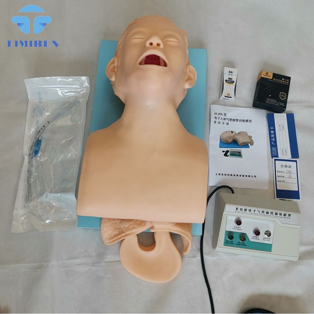 Student Tracheal Intubation Training Model Endotracheal Tube Model Training Dummy Medical ...