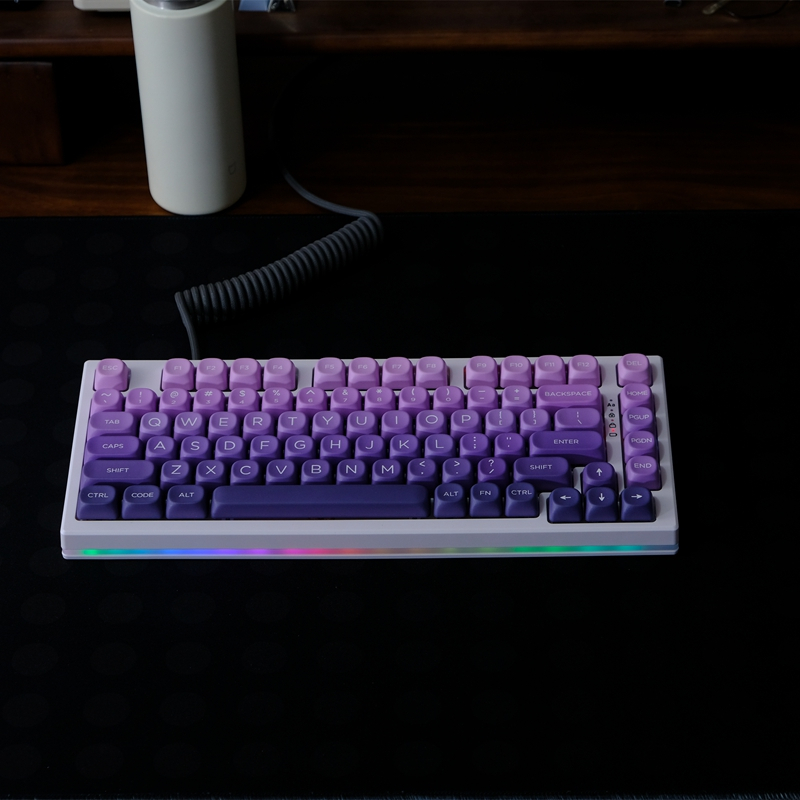 【Keycap Only】Violet Keycap XOA Profile 126 Keys PBT Five-Sided ...