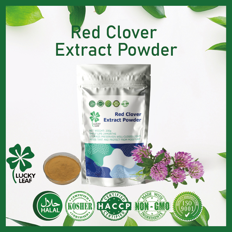 Red Clover Extract Powder/RTrifolium Pratense/elieve Menopause/Improve ...