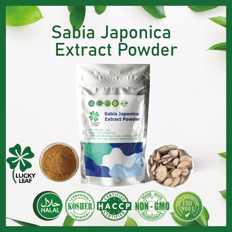 Sabia Japonica Extract Powder/Qing Feng Teng/Improve Immunity/Anti ...