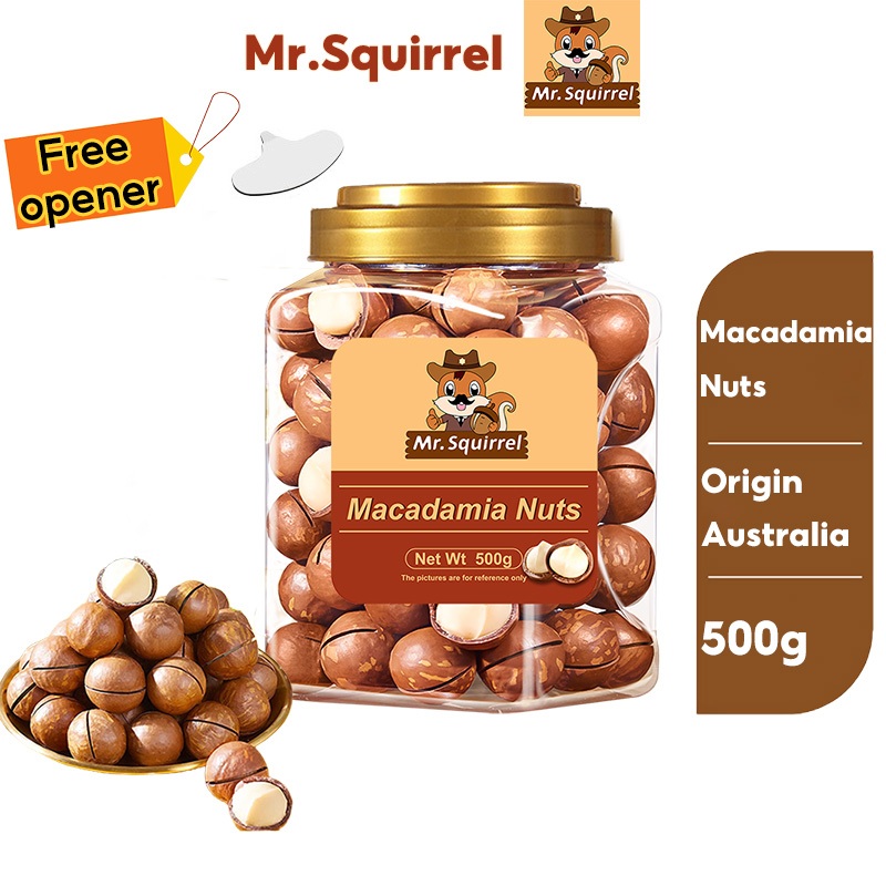 Mr Squirrel Roasted Macadamia Nuts Mixed Nuts Creamy Nuts Snacks Dried Fruit Snacks 500g ...
