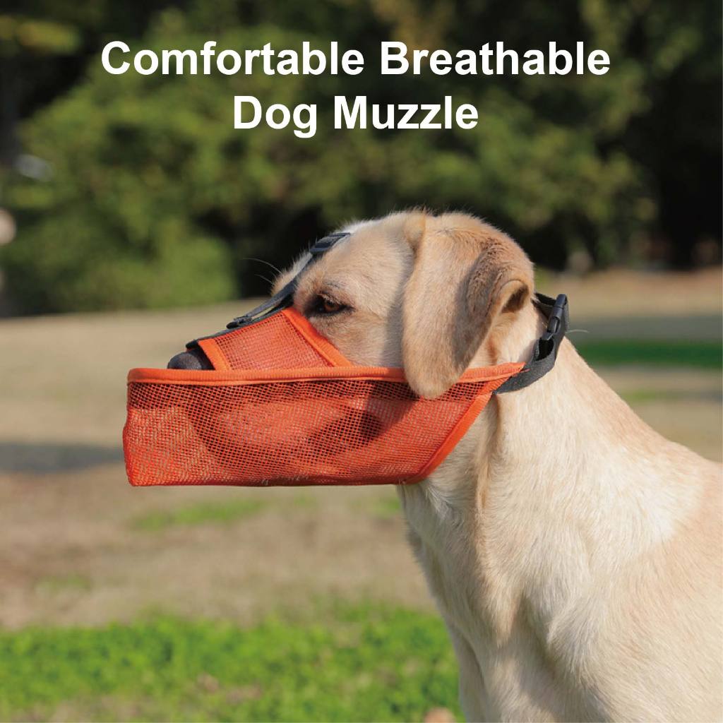 Dog Muzzle Anti-Bite Anti-Eating Medium Large Dog Dog Long Mouth Muzzle ...