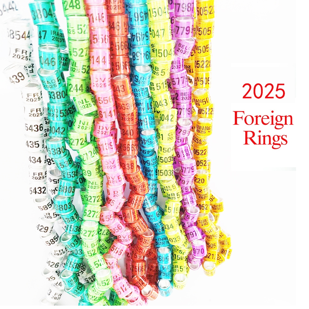 50 Pcs Pigeons Foot Rings 2025 Years 8mm Pigeons foot ring Parrots Leg Rings Birds Training Tool ...