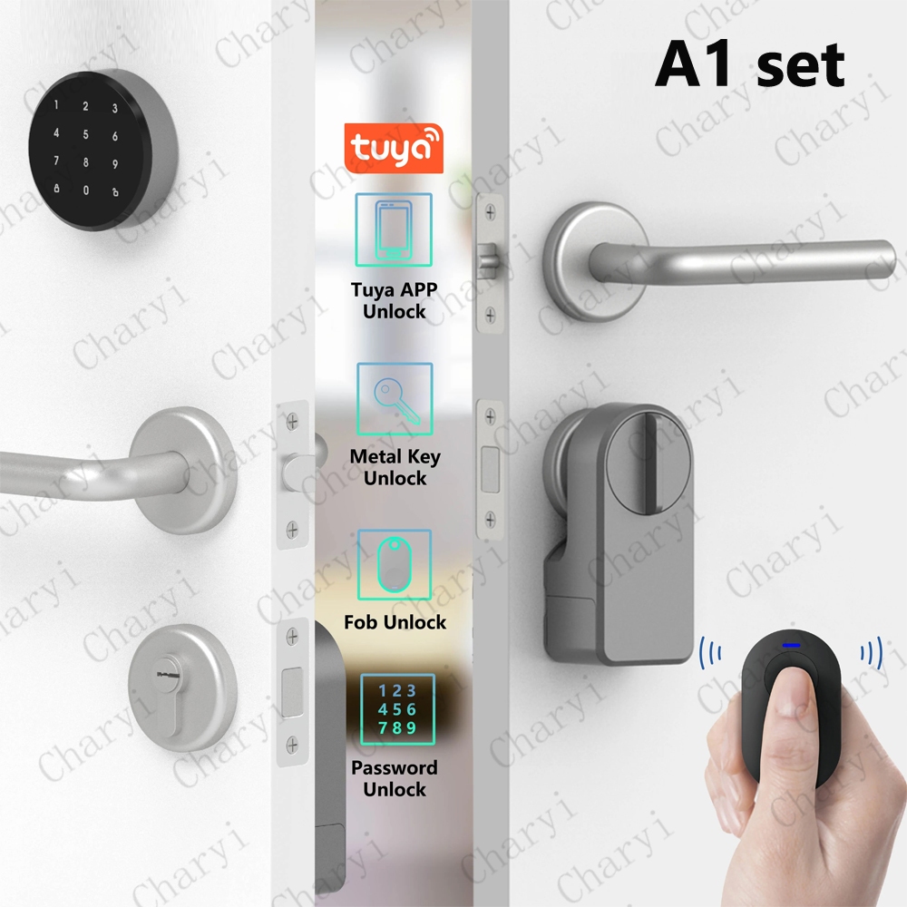 Tuya Bluetooth Smart Door Lock Set with APP/ Keypad/ Smart Key Add Gateway Remote Unlock Work ...