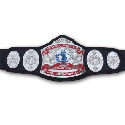 Box Boxing Brass Belt WBC Martial Arts Style MMA Fighting Sanda ...