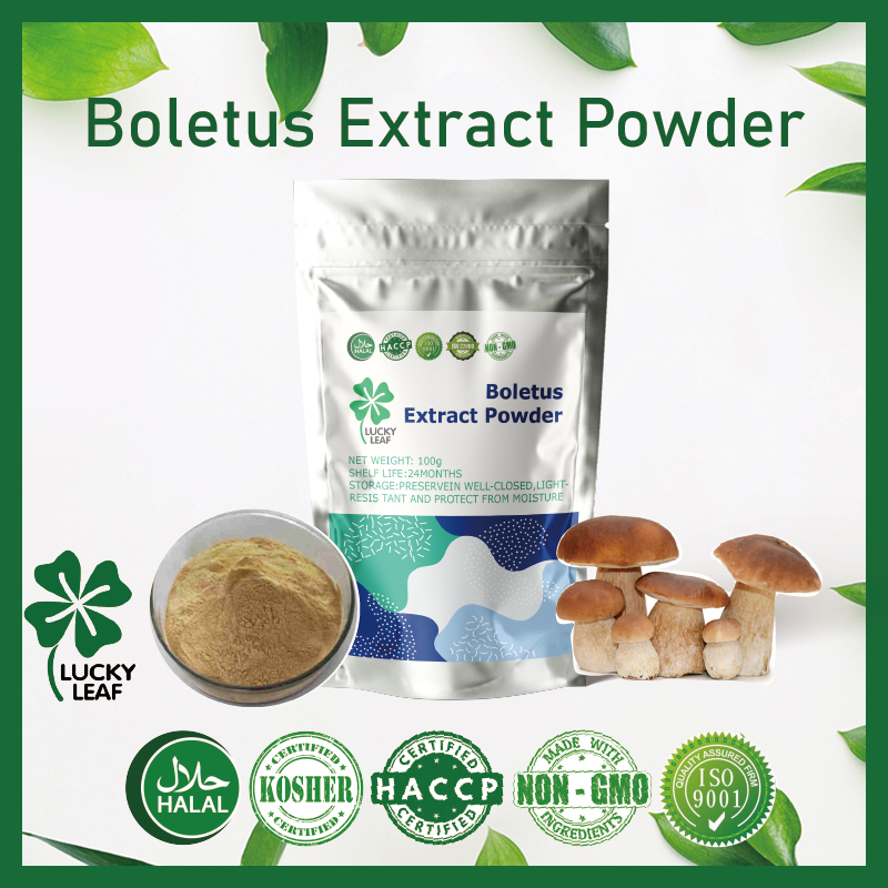 Boletus Extract Powder/Antioxidant/ Constipation Prevention ...