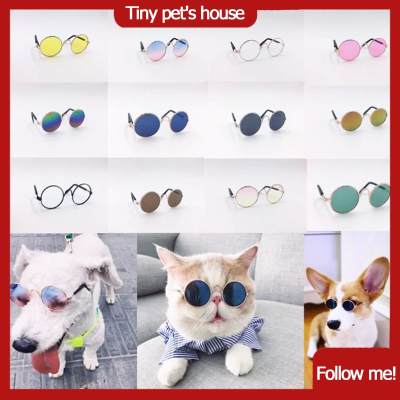 Pet Decorative Glasses Photography Essential Trend with Invincible Cute ...