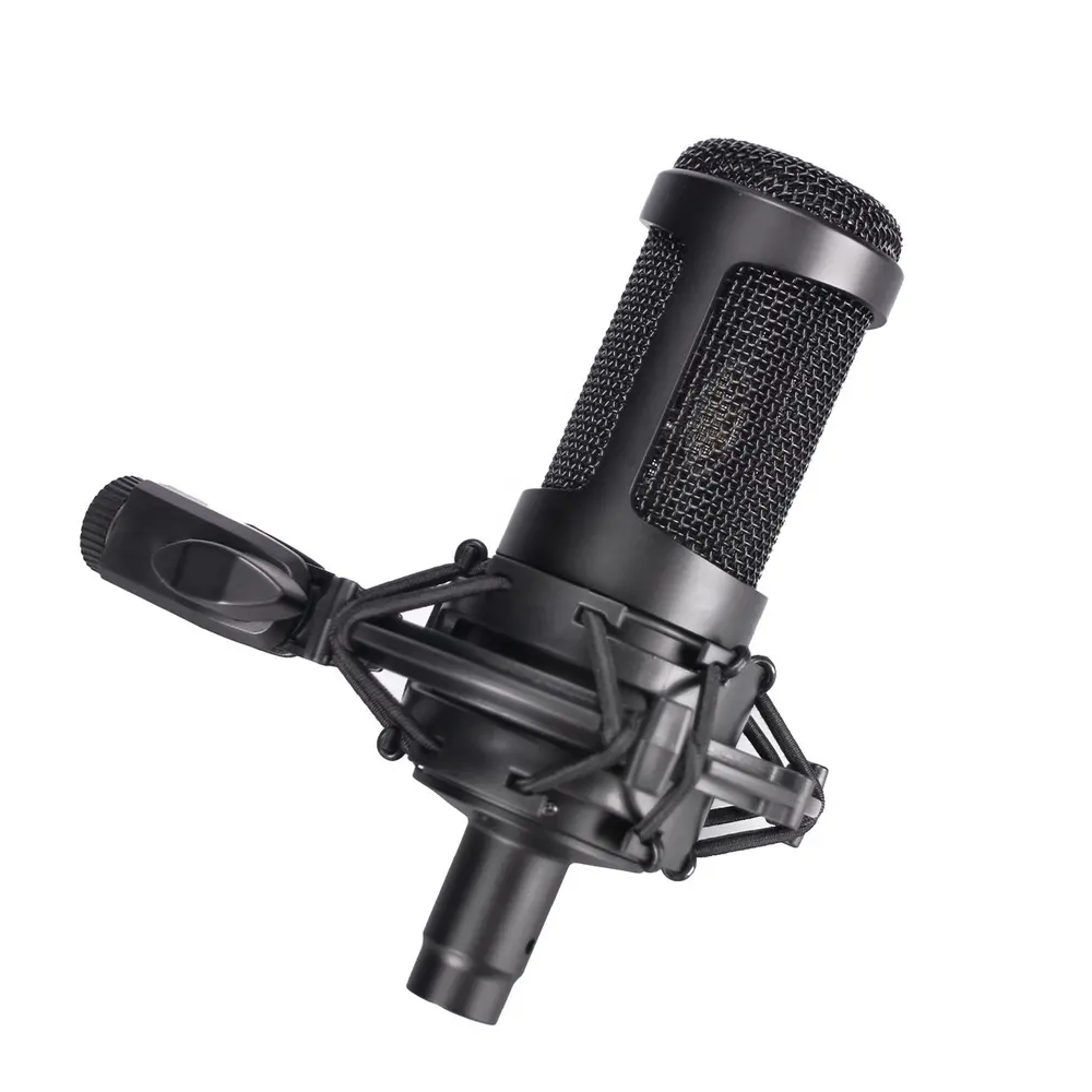 AT2020 Cardioid Condenser Studio XLR Microphone, Ideal for Project/Home ...