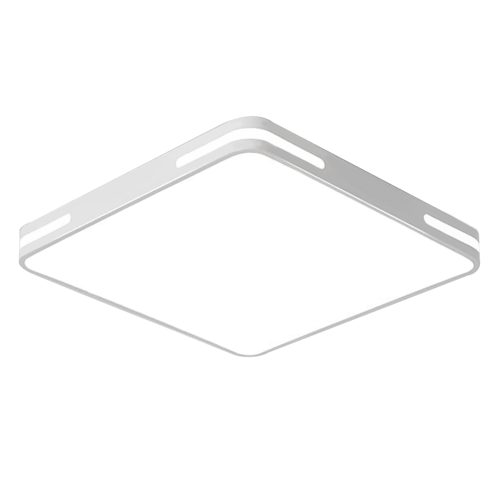 Full Spectrum Ceiling Light, 36W 6000K Daylight White Light Modern ...