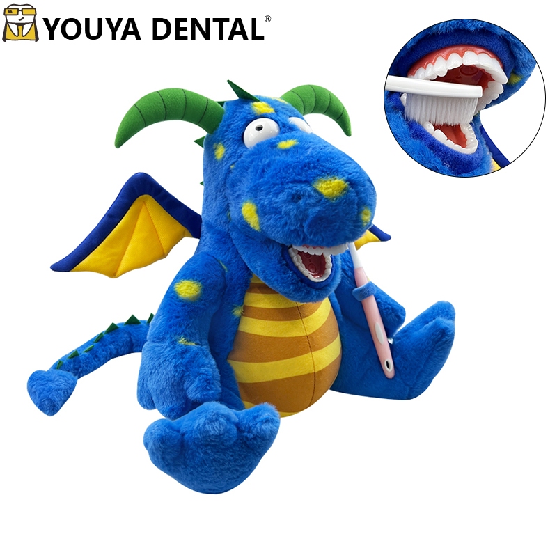 Dental Learning Brushing Tooth Model Dentist Educational Stuffed Model ...