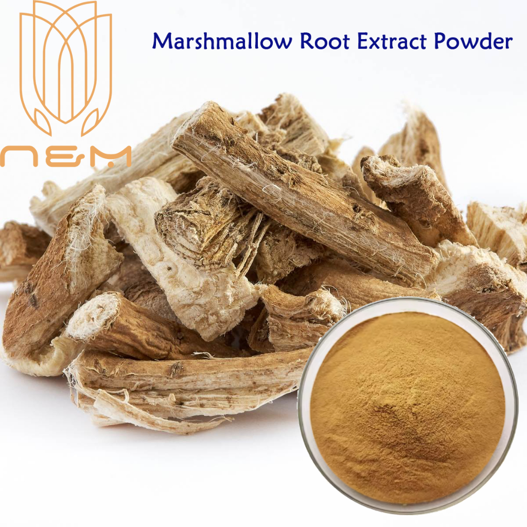 N&M/ Marshmallow Root Extract Powder/ Support Gastrointestinal ...