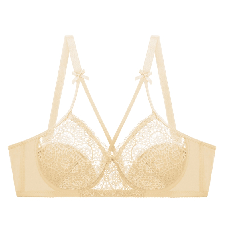 Parifairy Lace Bra Plus Size Brassiere For Women Full Cup Bra With Wire
