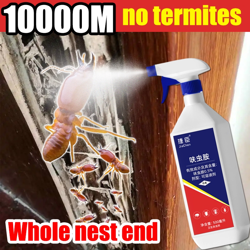 Death on contact DPP Termite spray killing termites Anay termit killer ...