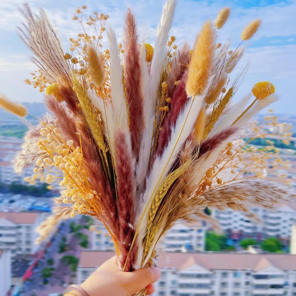 【Buy 12pcs Free 2pcs】Natural Dried Pampas Grass (1 stem)Boho Home Decor ...