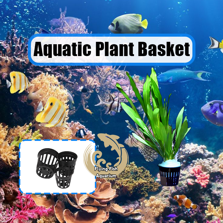 Aquarium Aquatic Plant Pot for Fish Tank Plants Aquascape Decoration ...