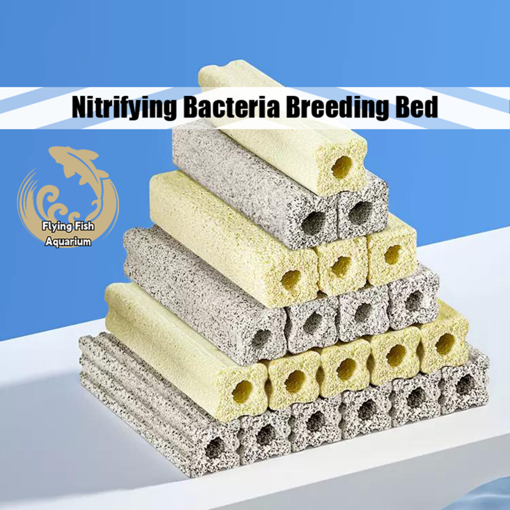 Filter Bacterial House for Aquarium Nitrifying Bacteria Breeding Bed ...