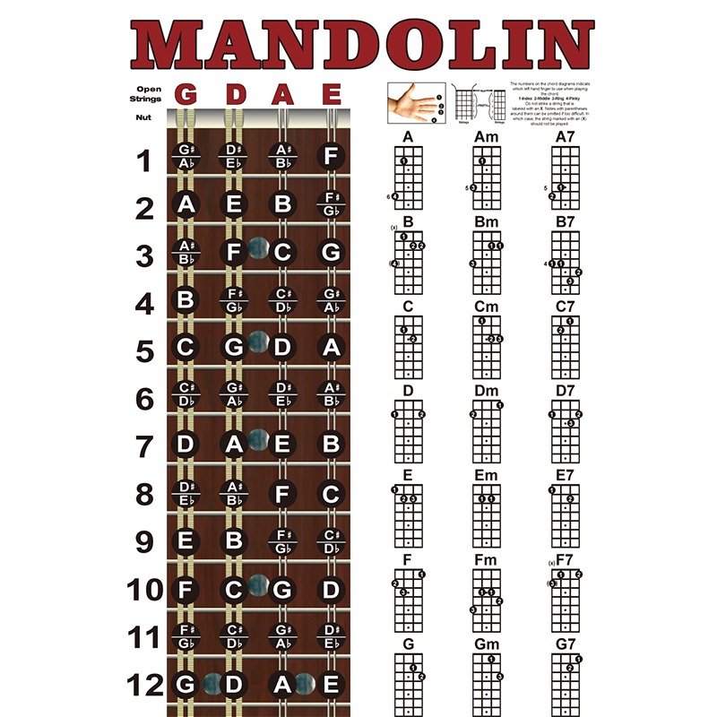 Mandolin Chord Chart Poster Wall Chart for Comprehensive Reference ...
