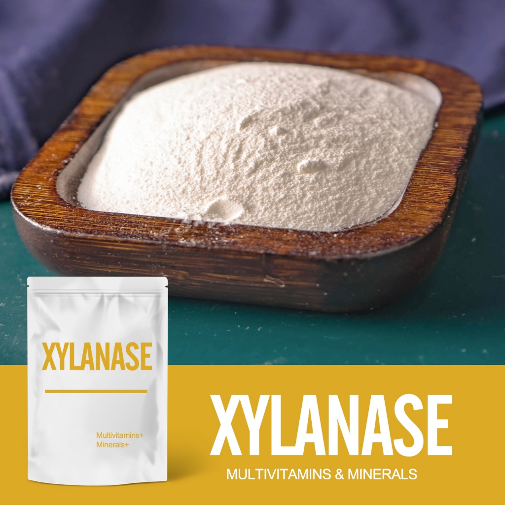 Wholesale Bulk Xylanase/Hemicellulase 200000u/g-Food Grade Wood Yeast ...