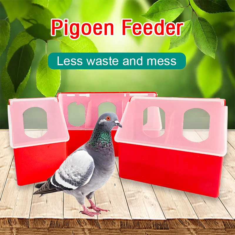 Pigeon Feed Box Bird Supplies Parrot Quail Chicken Food Tank | Shopee ...