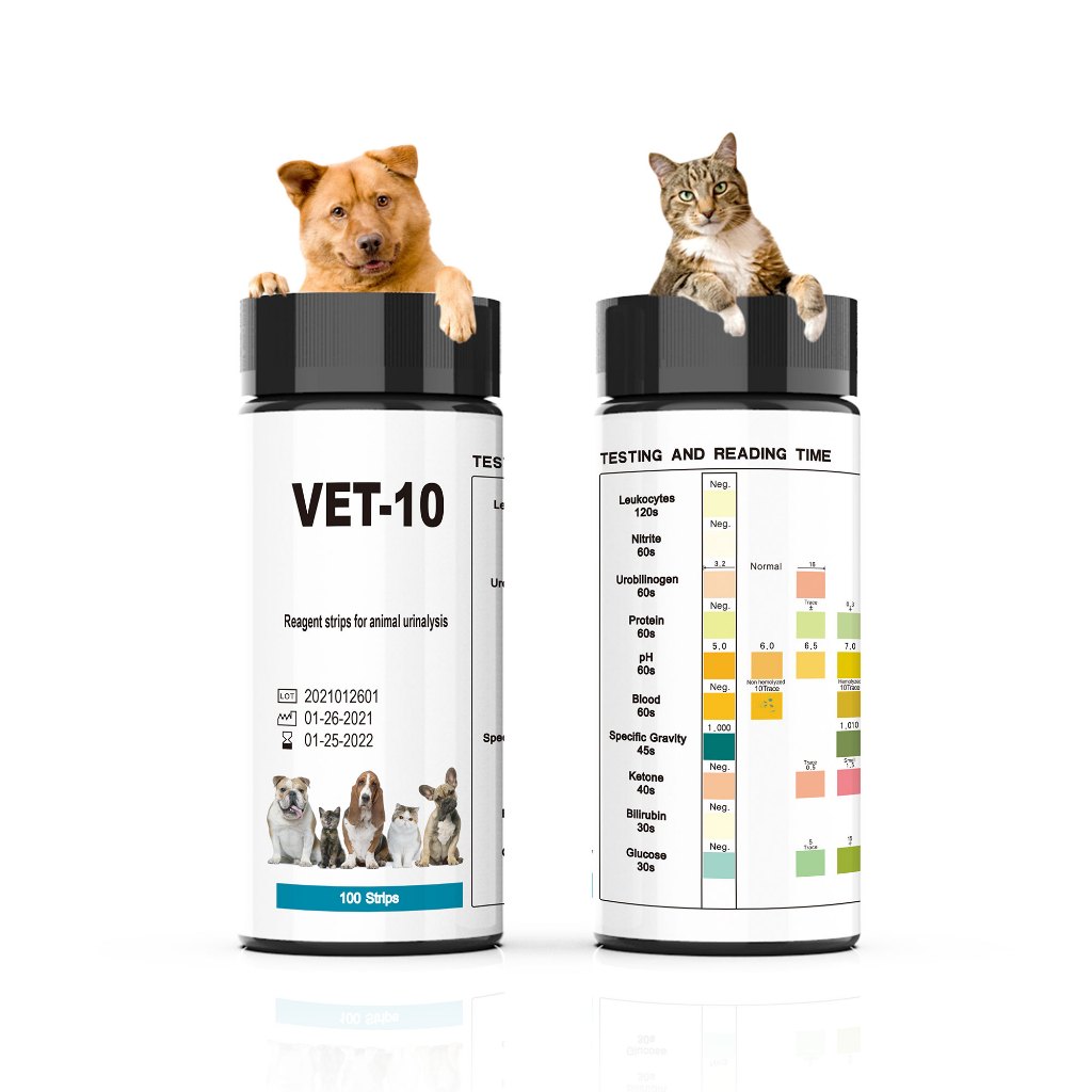 10 Parameters Pet Urine Test Strips Vet Urine Glucose Protein Animals ...