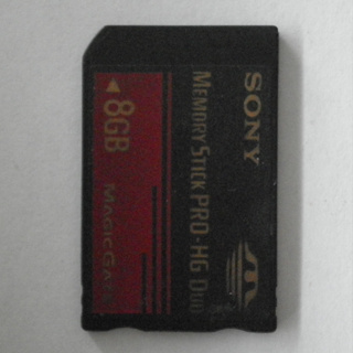 Sony SONY 8GB Memory Stick Pro-HG Duo Memory Stick | Shopee Philippines