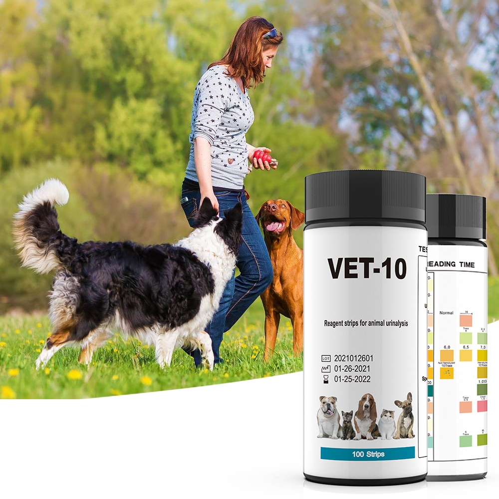 VET-10 Pet Urine Testing Strips 10 In 1 Urinalysis Parameter Tests For ...