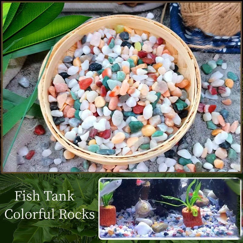 Colorful Rocks Selected White Pebbles Stones Natural stone Aquarium ...