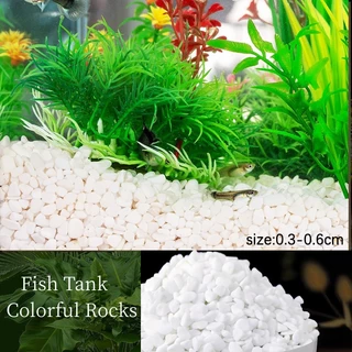 Shop pebbles stone for Sale on Shopee Philippines