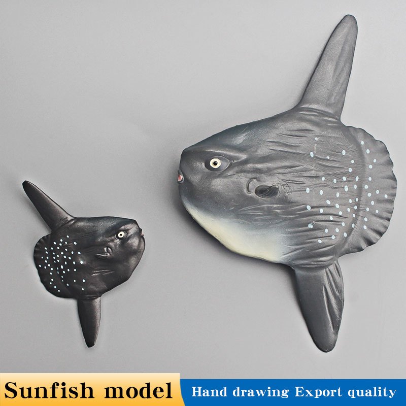 Simulated Cognitive Marine Sea Animal Model Solid Sunfish Moon Fish ...