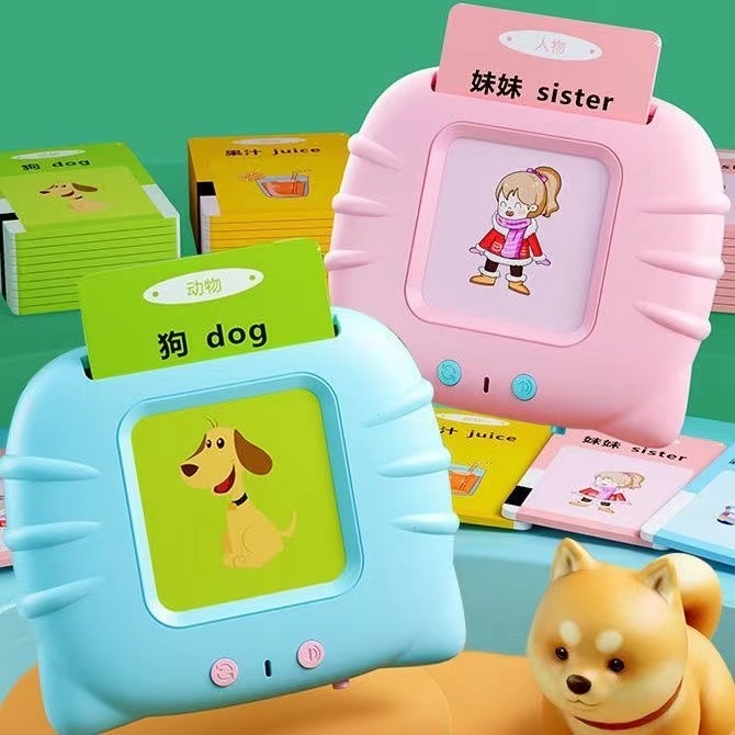 224pcs Toddlers Fast Speaking Cognitive Flash Card Chinese English ...