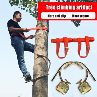 Foot Buckle Tree Climbing Tool for Tree Climbing, Specialized Tool for ...