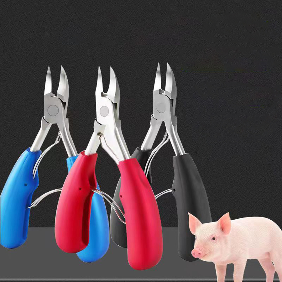 Pig Cutter Hamster Stainless Steel Rabbit Diagonal Tooth Cutter Animal ...