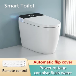 Shop toilet bowl for Sale on Shopee Philippines