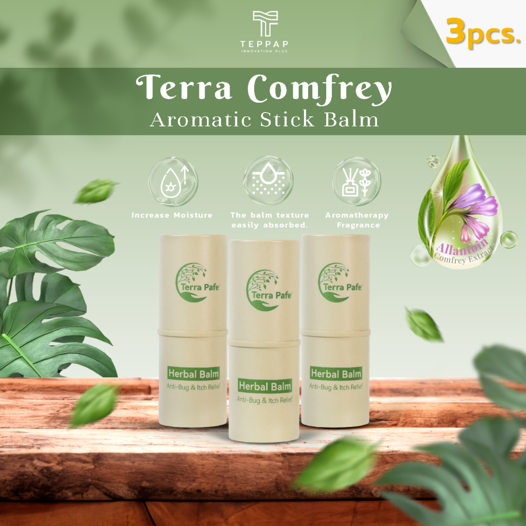 Terra Pafe Aroma Balm (3 pieces) - Fresh and Relaxing Scent, Green ...