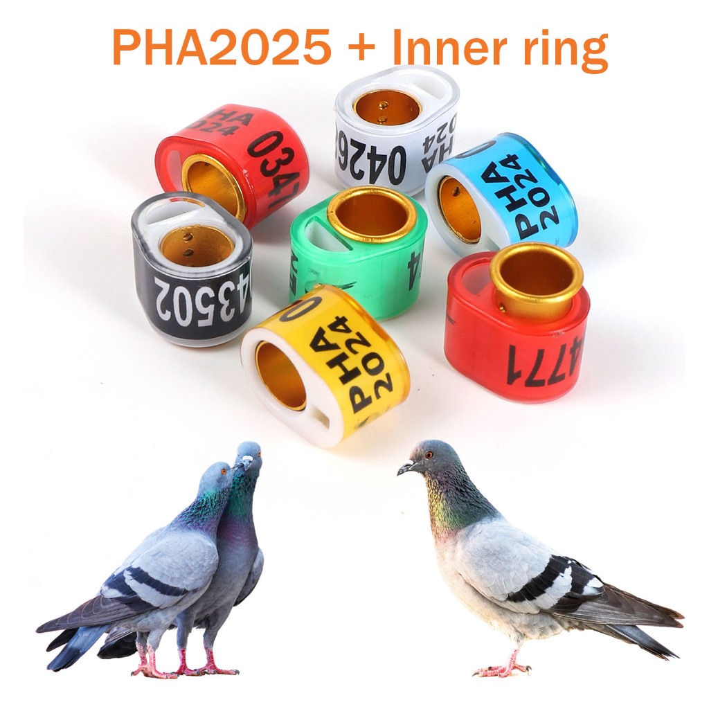 10/20 Sets Pigeon Foot Ring 2025 PHA Oval Pigeon Ring with Inner Ring ...