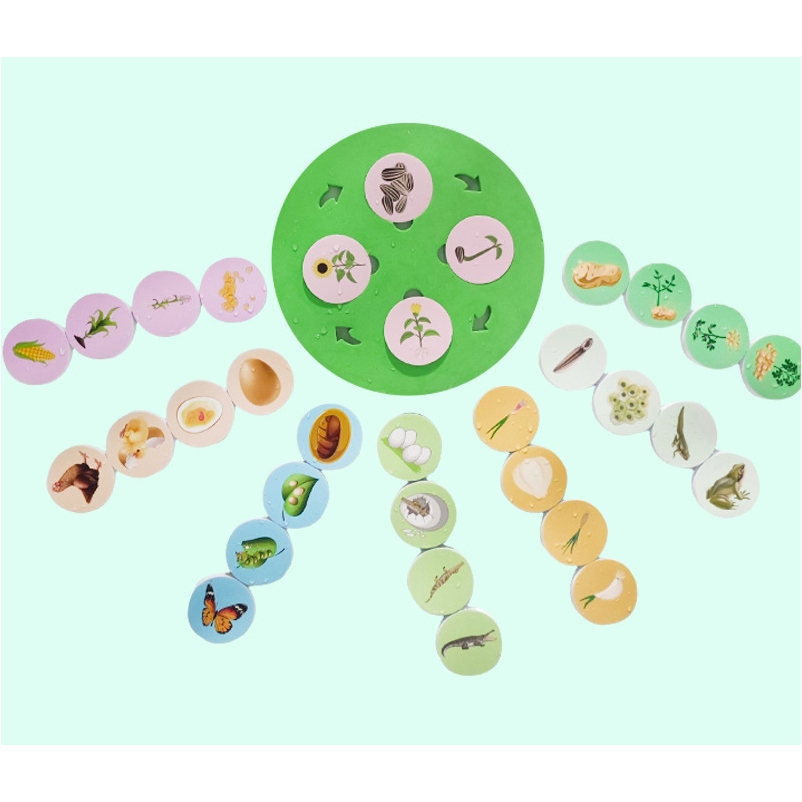 Life cycle cognitive learning，Montessori Life Cycle Puzzle Board Kit ...