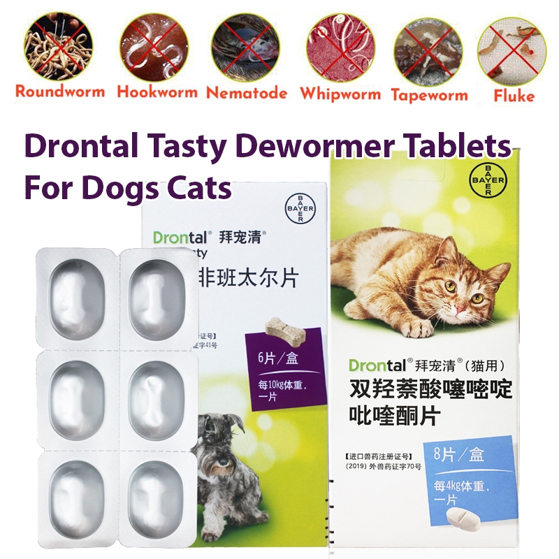 Drontal Plus 1pc Tasty Deworming Tablet For Dogs Cats Dewormer ...